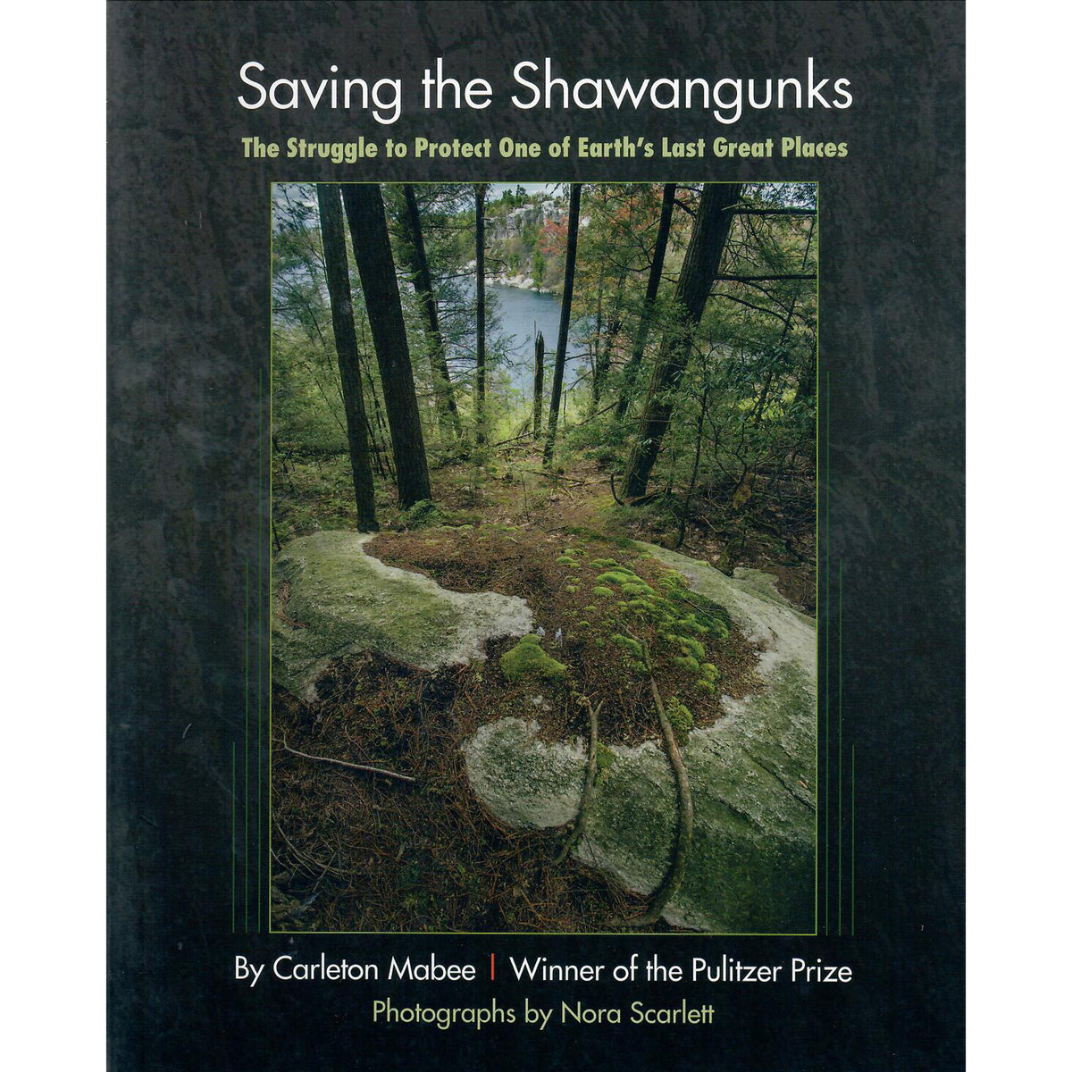 Saving the Shawangunks – OLANA MUSEUM STORE